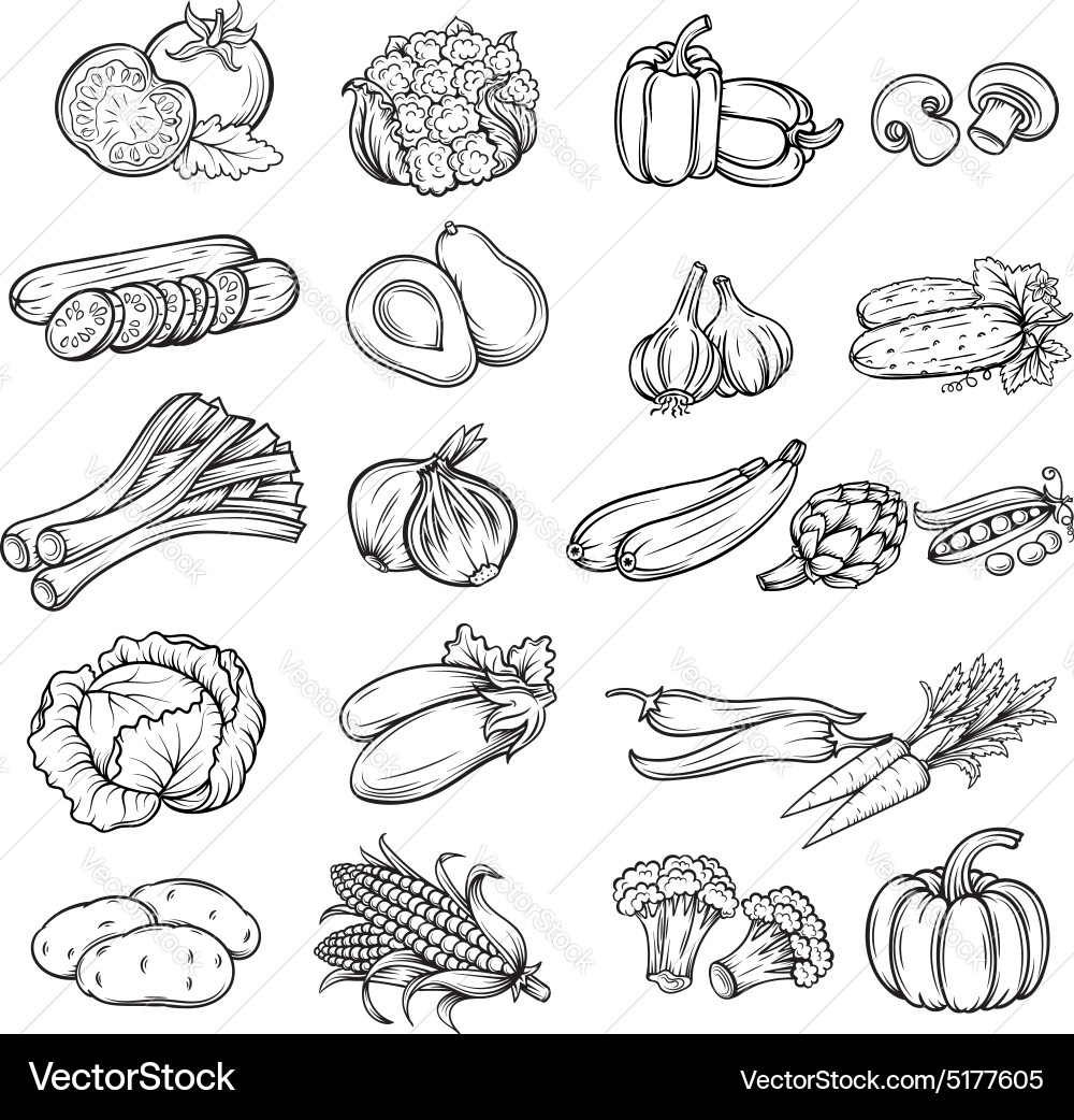 Hand drawn vegetable Royalty Free Vector Image