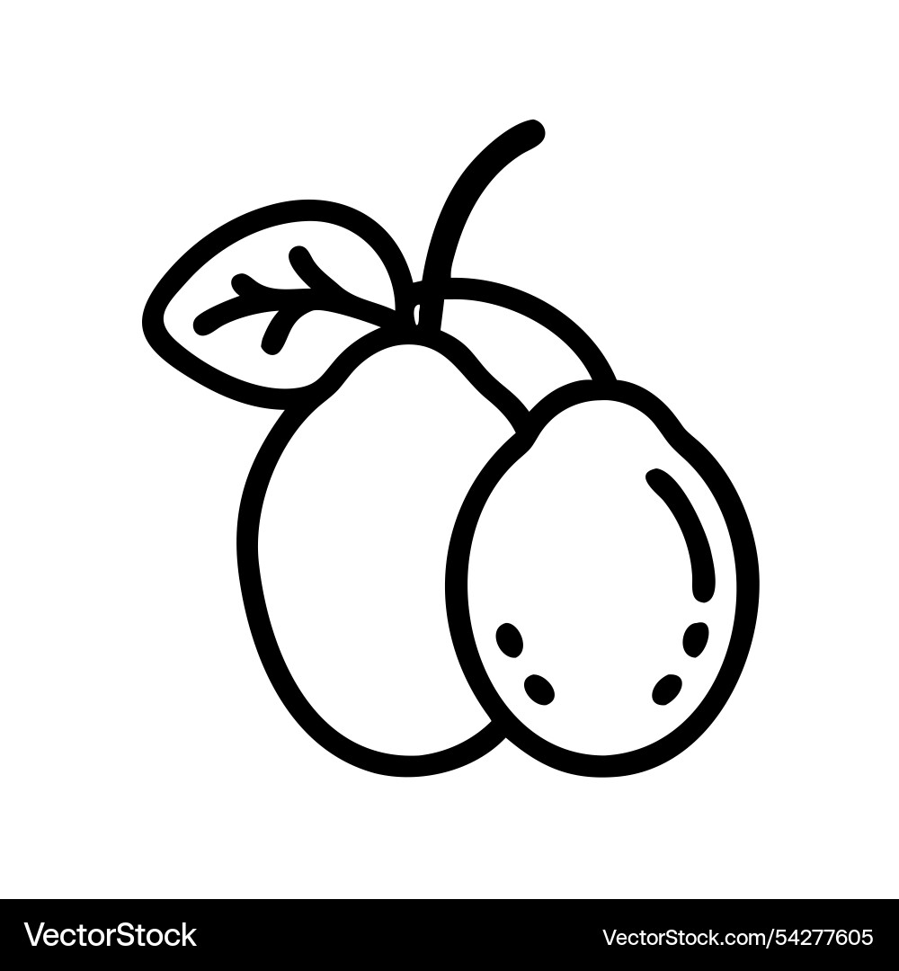 Loquat icon fruits Royalty Free Vector Image - VectorStock
