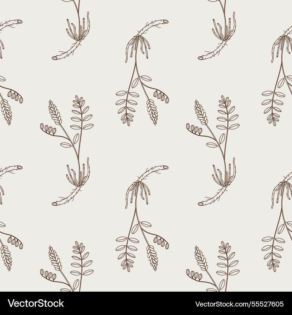 Seamless pattern of licorice herbaceous Royalty Free Vector