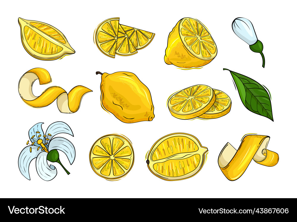 Lemon set yellow peel lemonade elements zest Vector Image