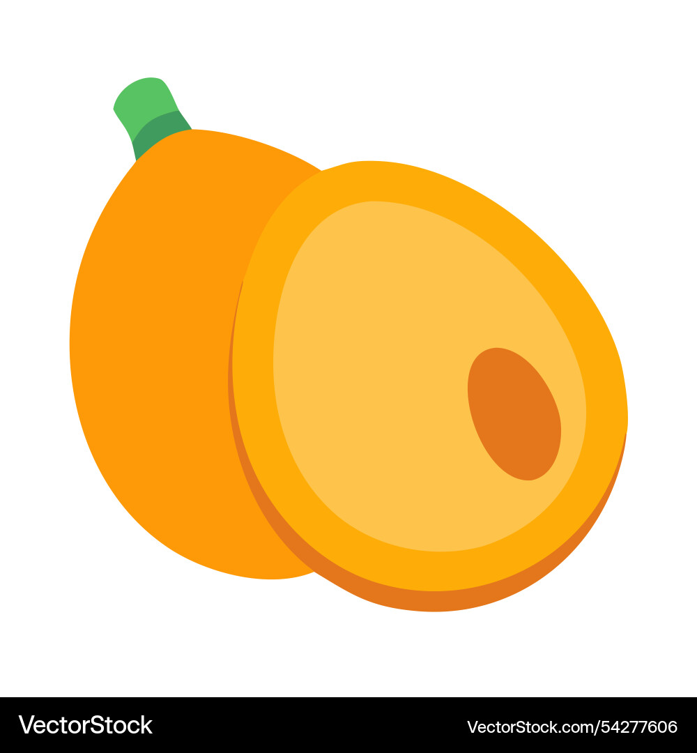 Loquat icon fruits Royalty Free Vector Image - VectorStock