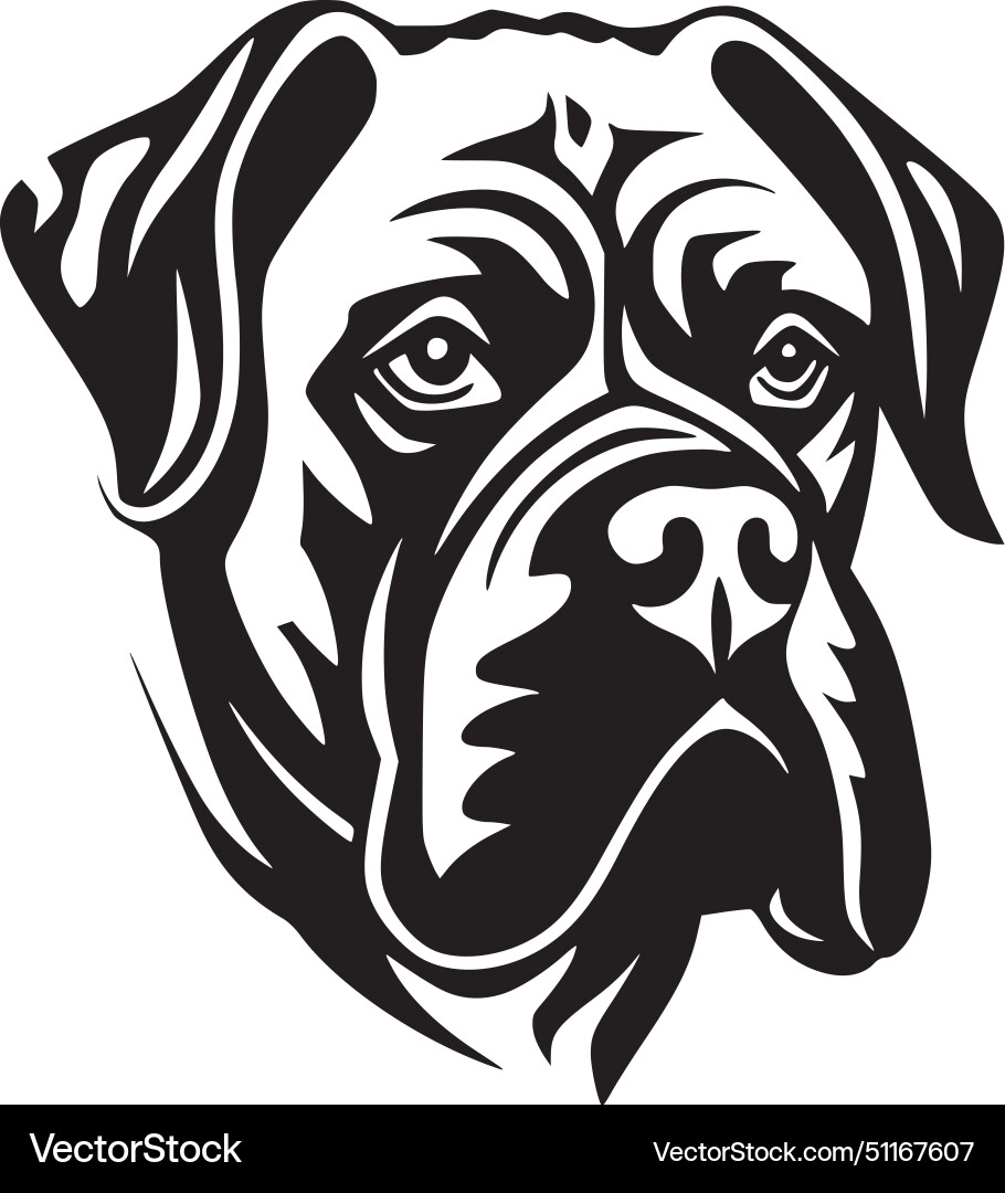 Boxer - black and white Royalty Free Vector Image