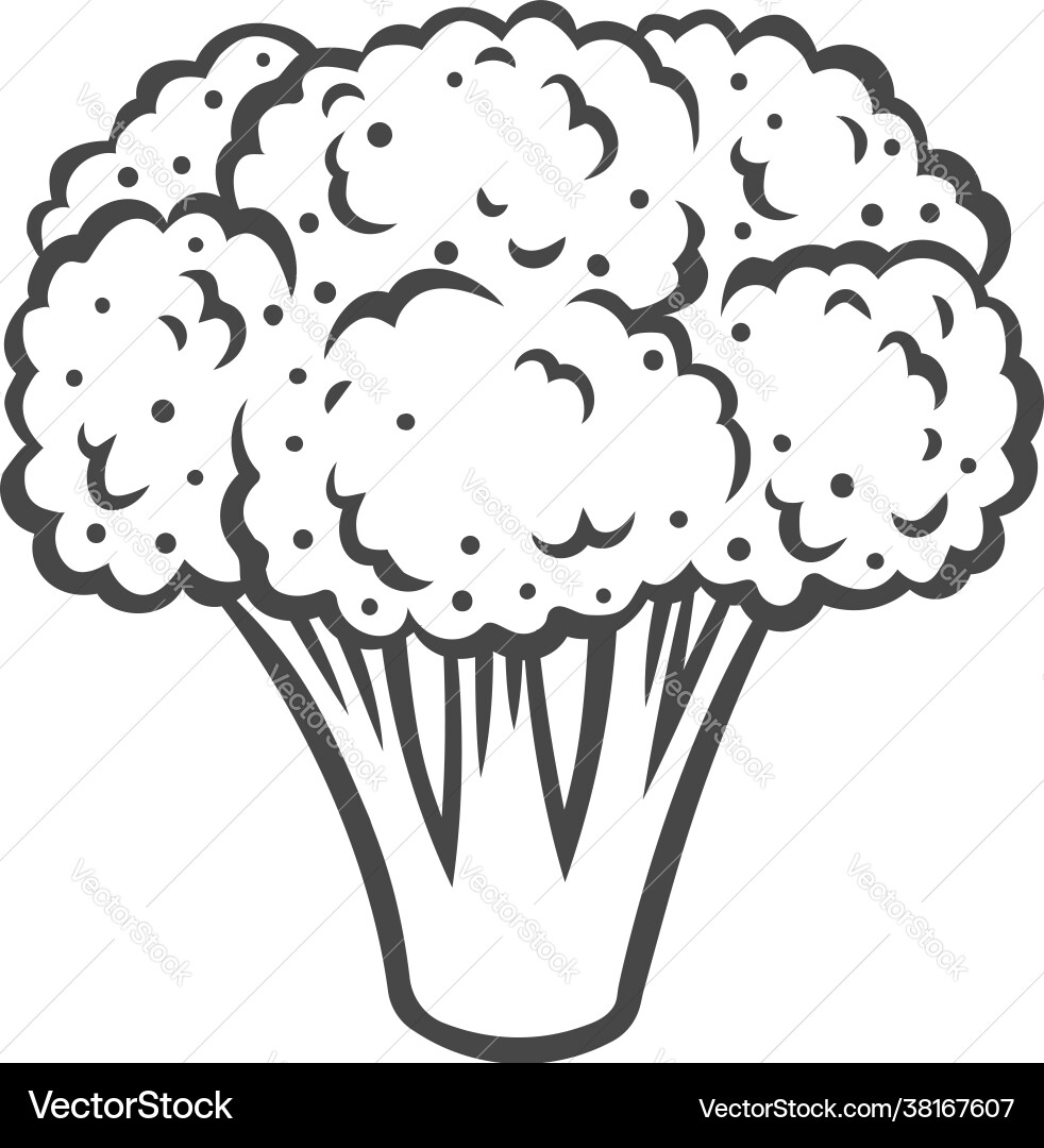 Brocoli Outline Broccoli Halfton Style Hand Drawing Illustration