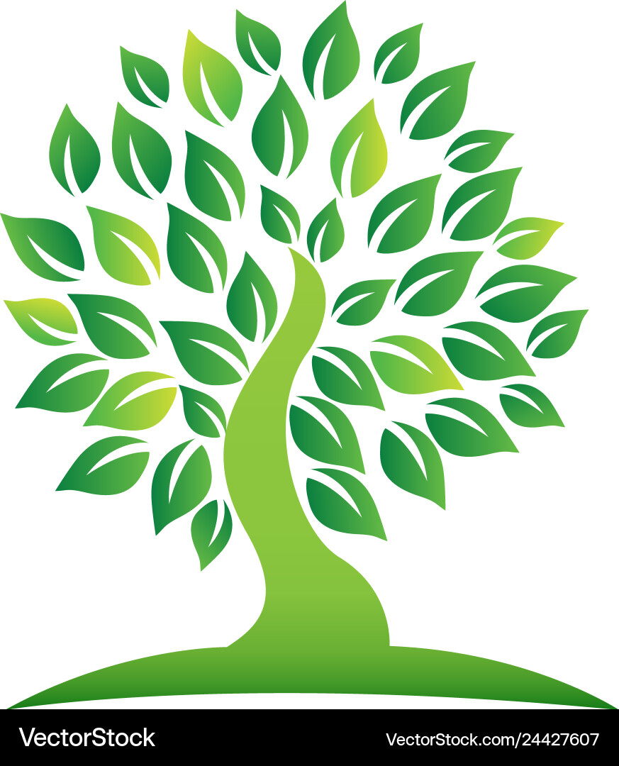 Tree logo Royalty Free Vector Image - VectorStock