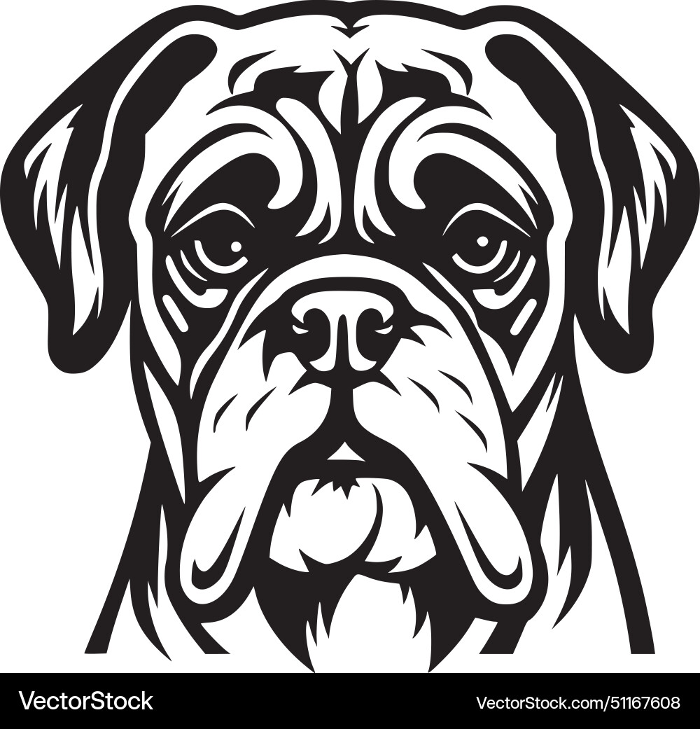 Boxer - high quality logo ideal for t-shirt Vector Image
