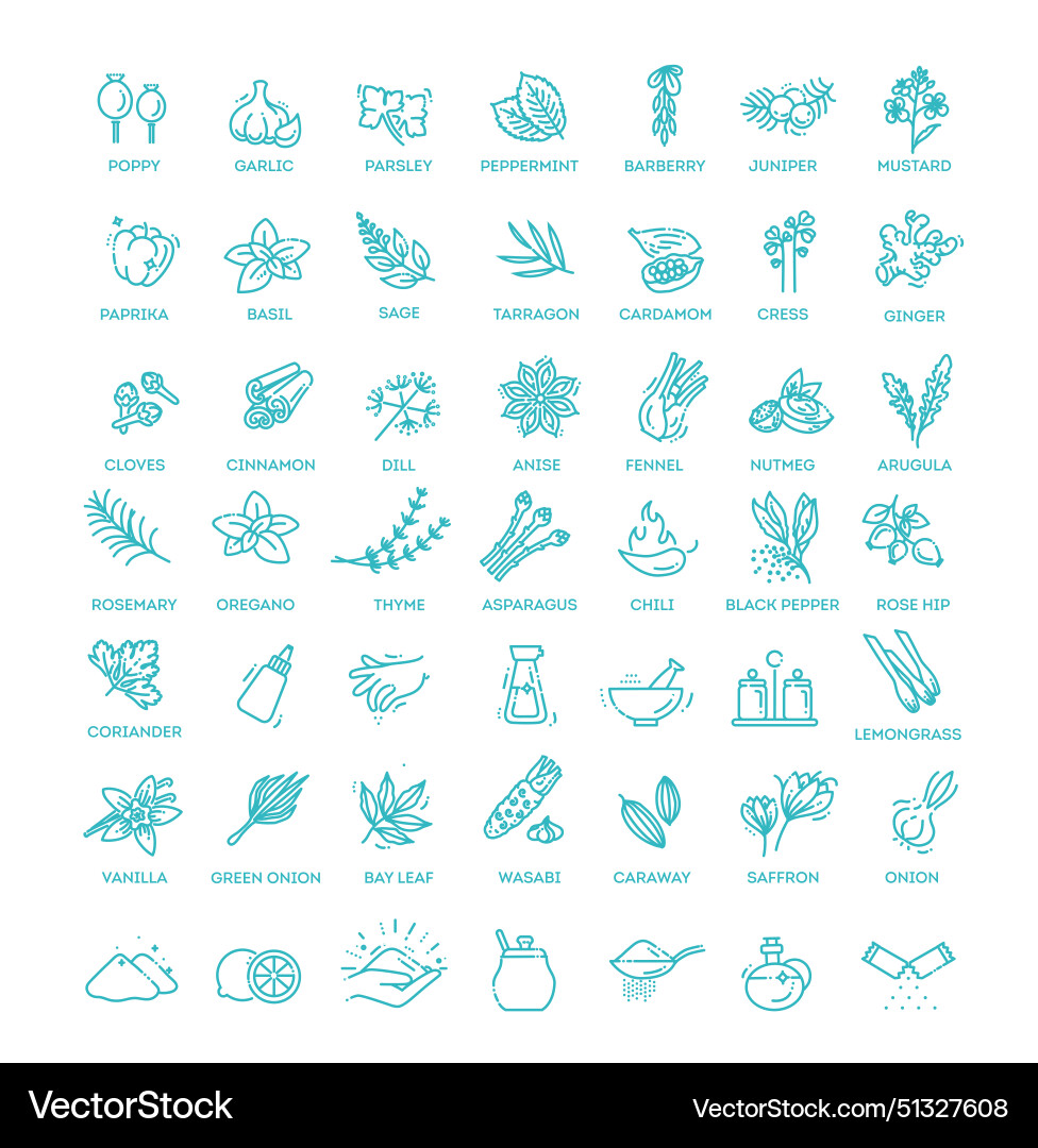 Condiment icons set outline Royalty Free Vector Image