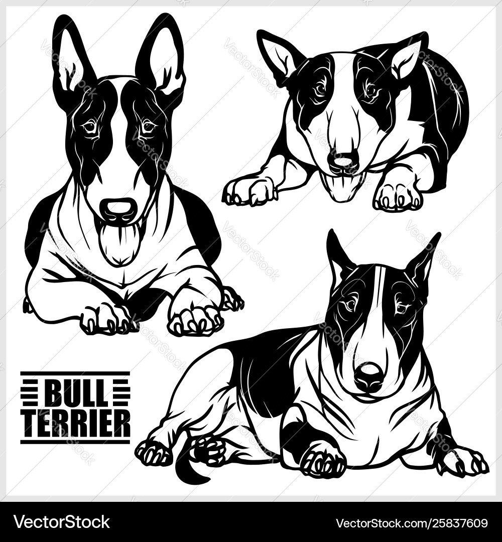 Bull terrier - for t-shirt Royalty Free Vector Image