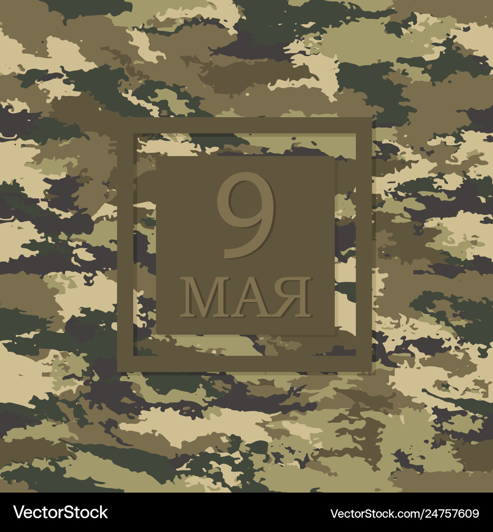 Camouflage 9 may Royalty Free Vector Image - VectorStock