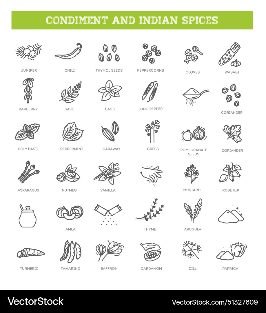 Condiment icons set outline Royalty Free Vector Image