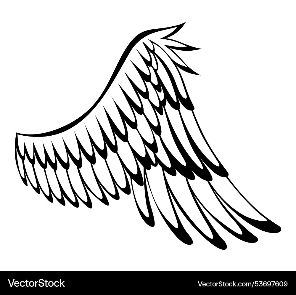 Wings sketch stylized birds hand drawn Royalty Free Vector