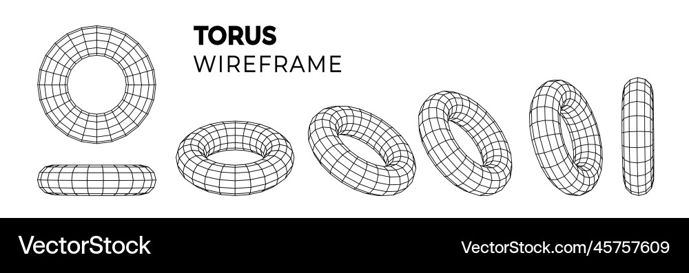 Wireframe torus grid with different structure Vector Image
