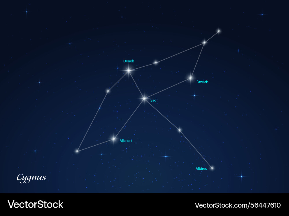 Cygnus constellation with star names in night sky Vector Image