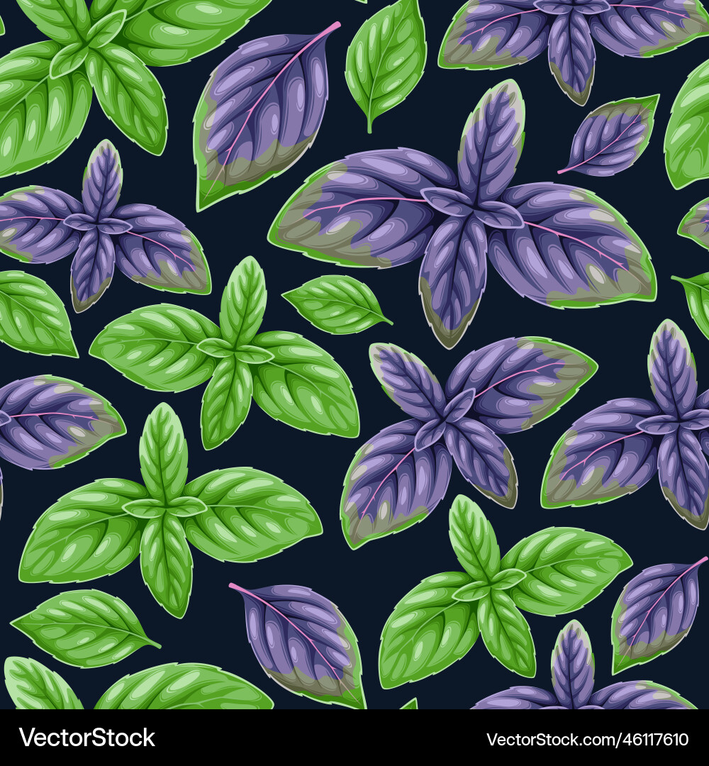 Pattern with green and violet basil leaves Vector Image