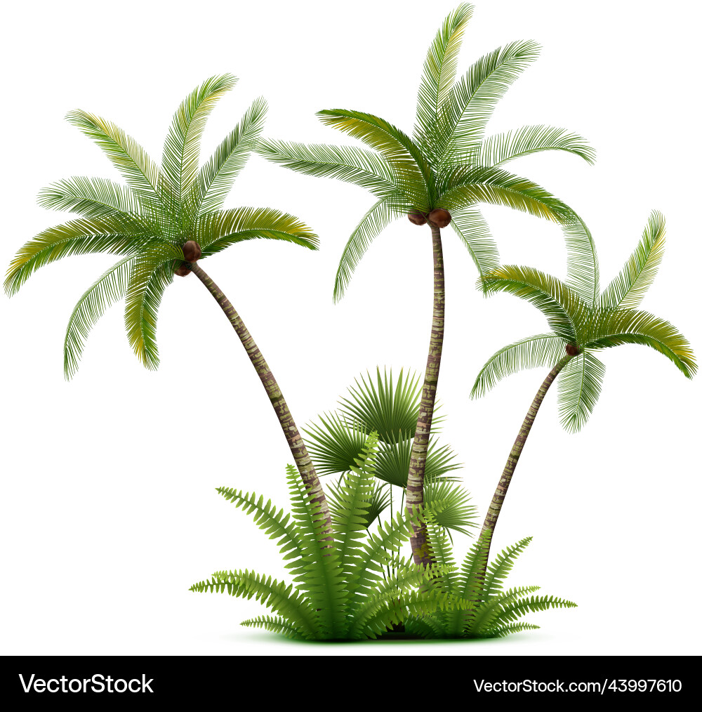 Tropical Palm Trees Royalty Free Vector Image - VectorStock