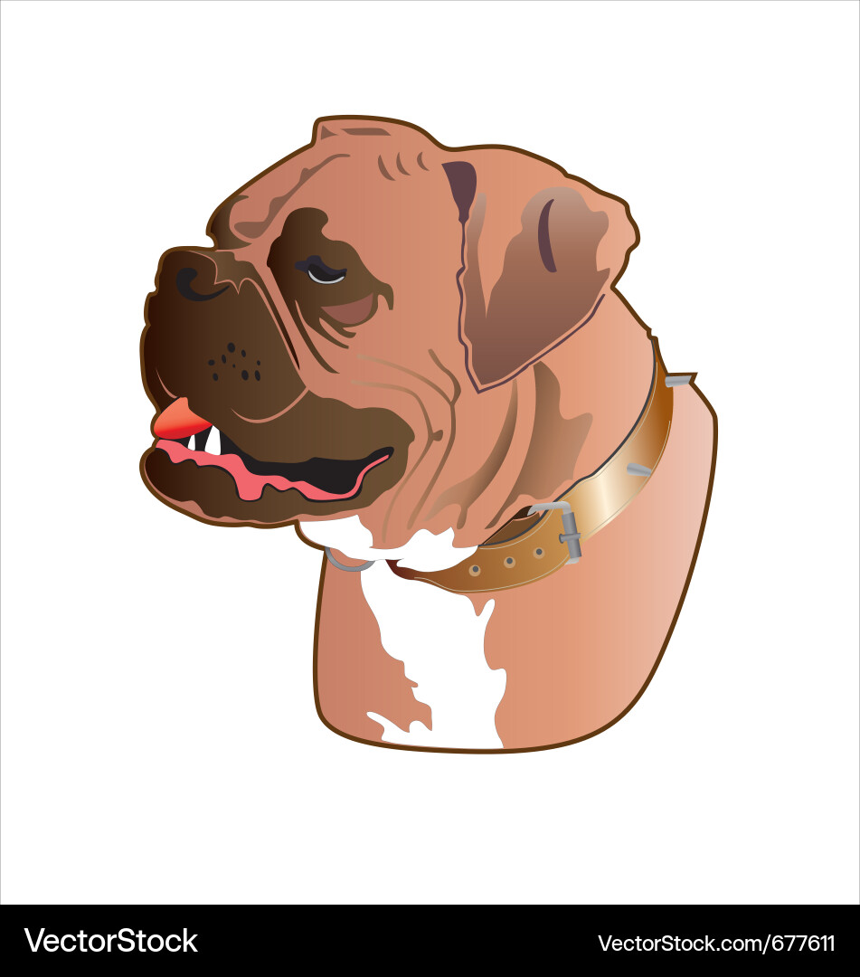 Boxer dog Royalty Free Vector Image - VectorStock