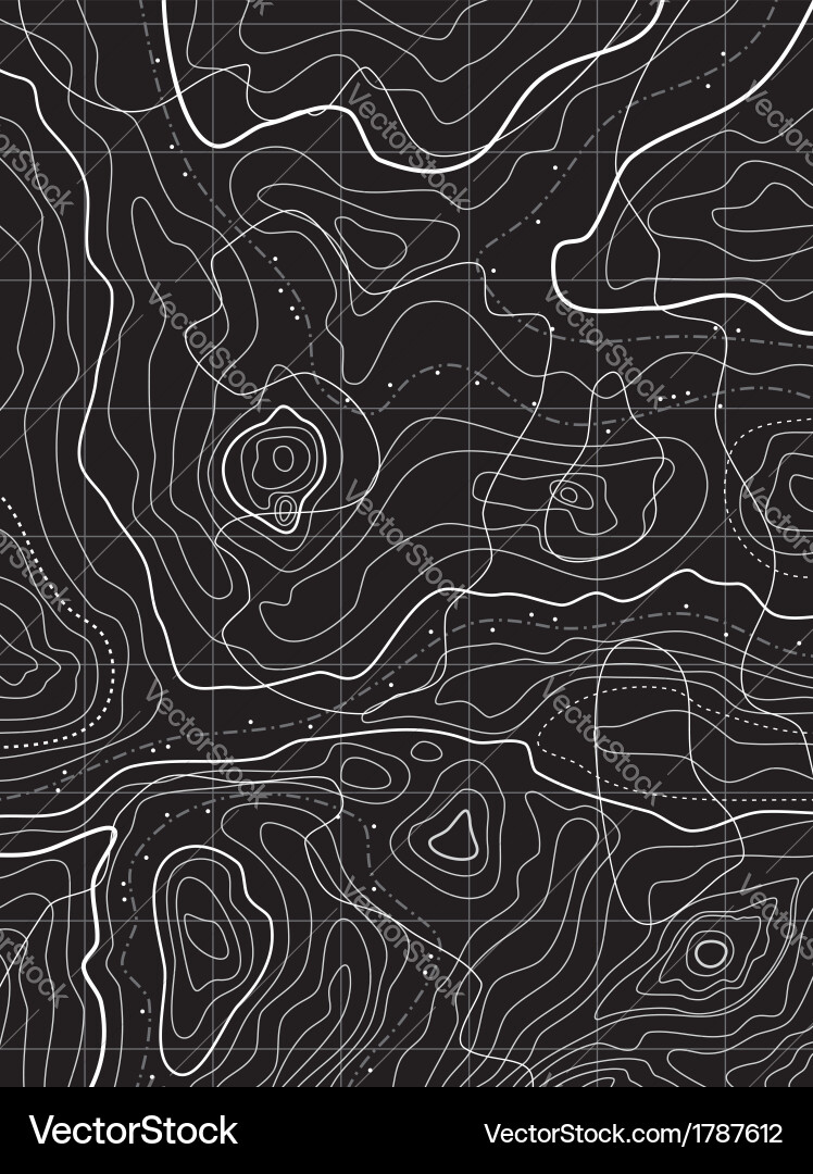Abstract topographical map Royalty Free Vector Image