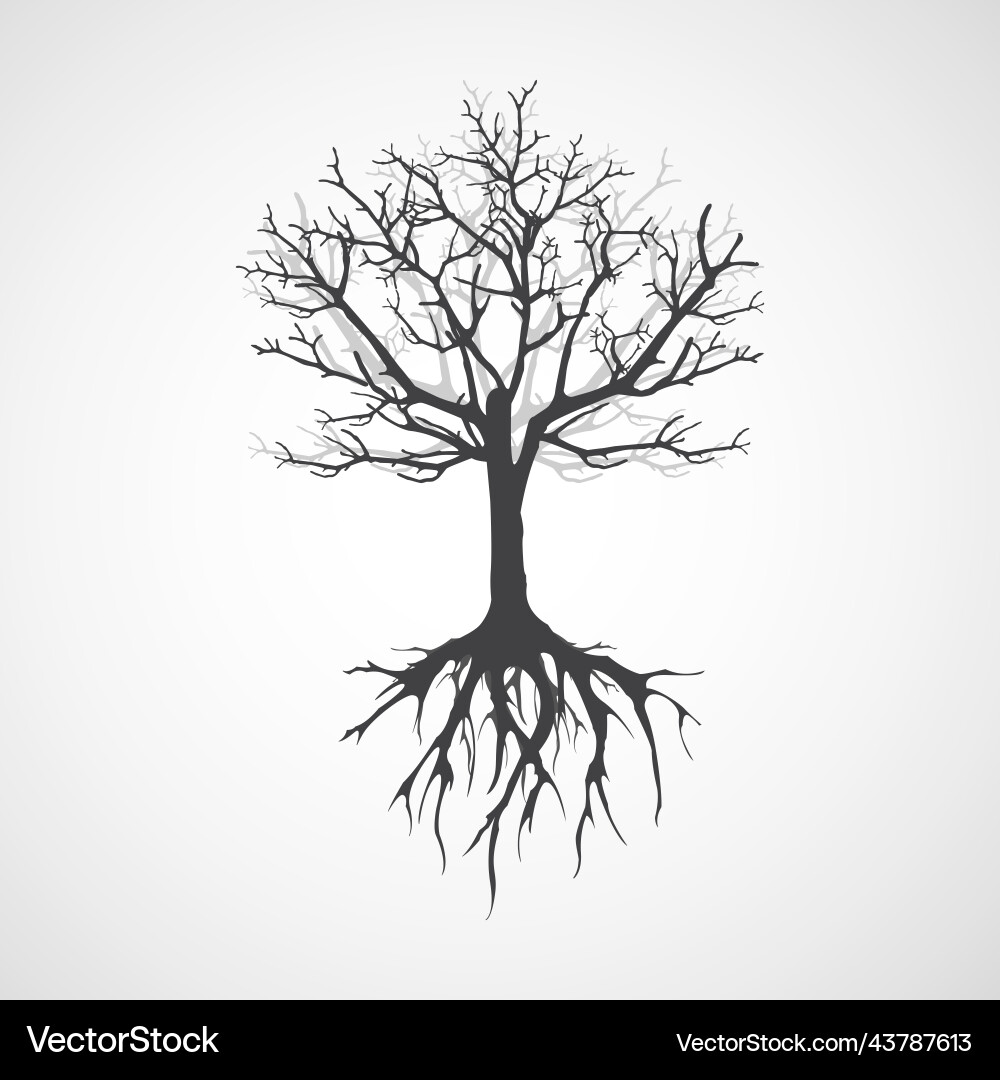 Abstract tree with roots outline plant in garden Vector Image