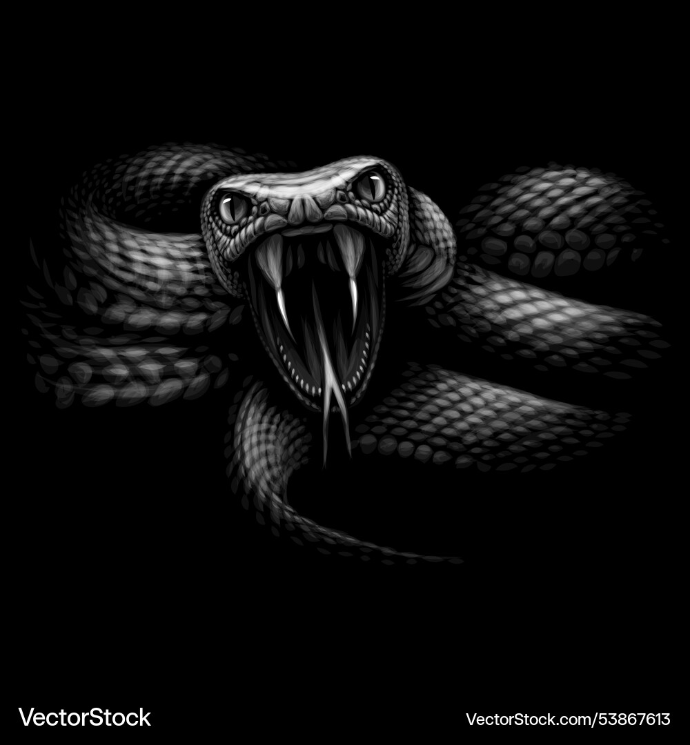 Snake monochrome portrait Royalty Free Vector Image