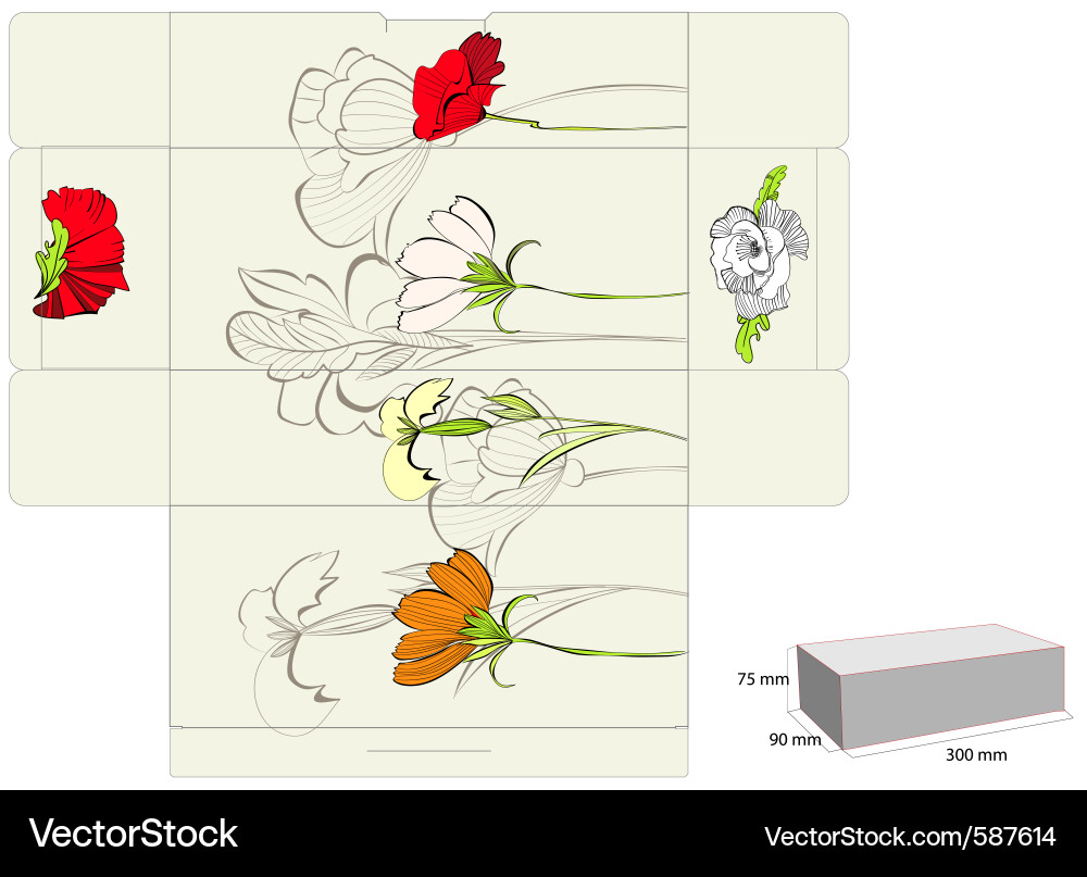 Box template Royalty Free Vector Image - VectorStock