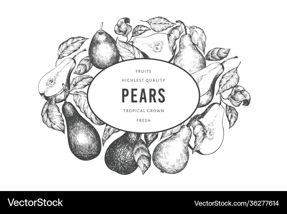 Pear design template hand drawn garden fruit Vector Image