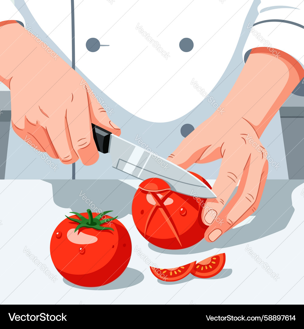Tomato Slicing - Food Prep Royalty Free Vector Image