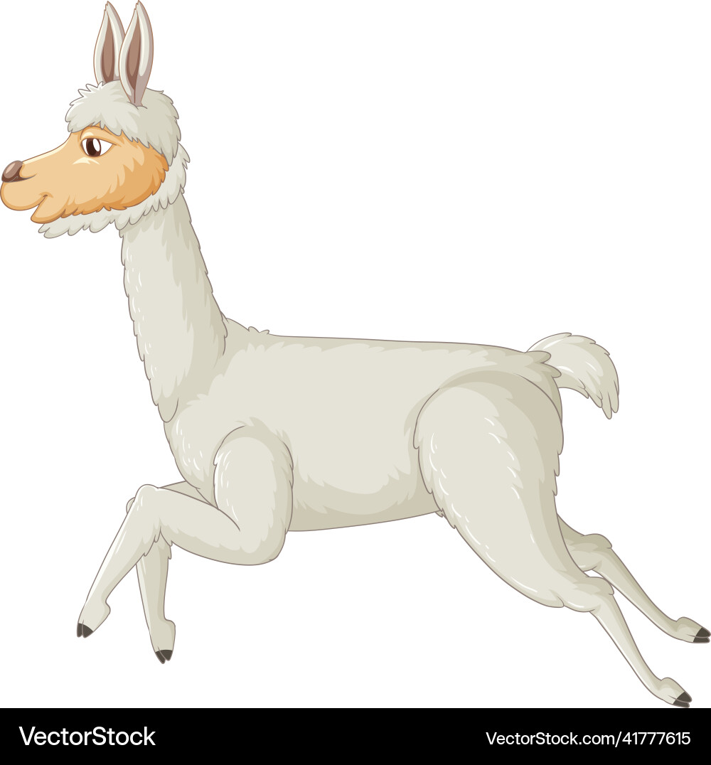 An alpaca on white background Royalty Free Vector Image