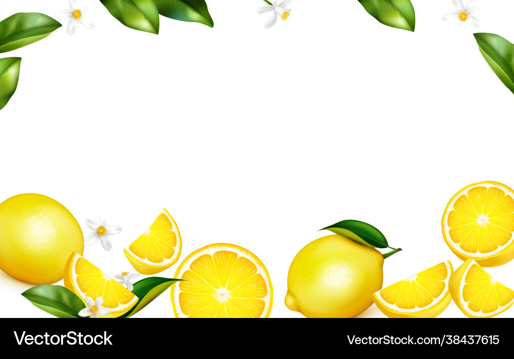 Lemon Fruit Background Royalty Free Vector Image