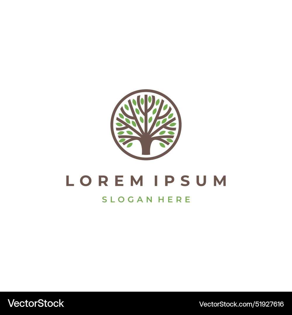 Circle tree logo icon template design round Vector Image