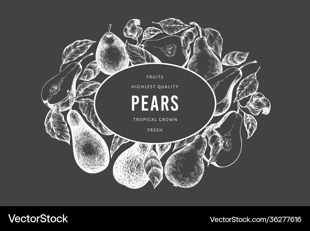 Pear design template hand drawn garden fruit Vector Image