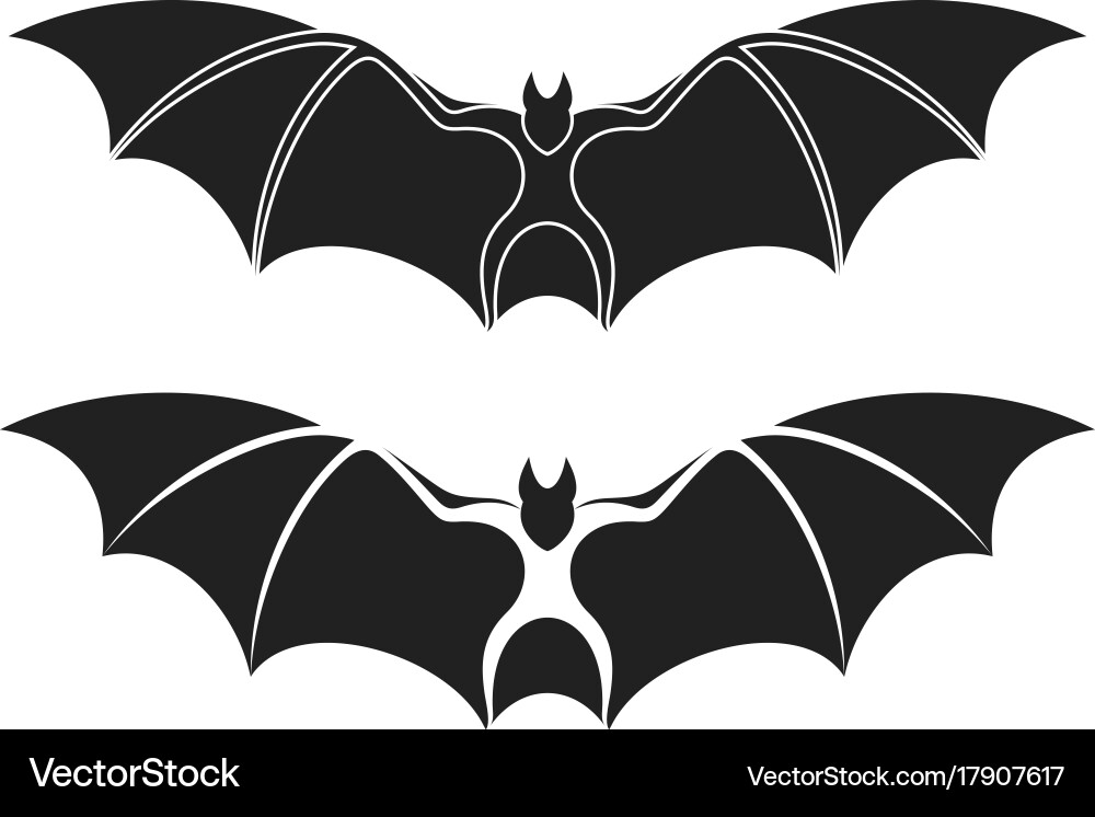 Fruit bat Royalty Free Vector Image - VectorStock