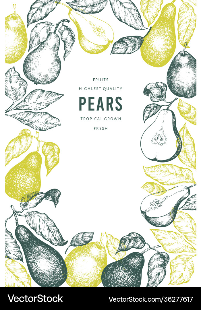 Pear design template hand drawn garden fruit Vector Image
