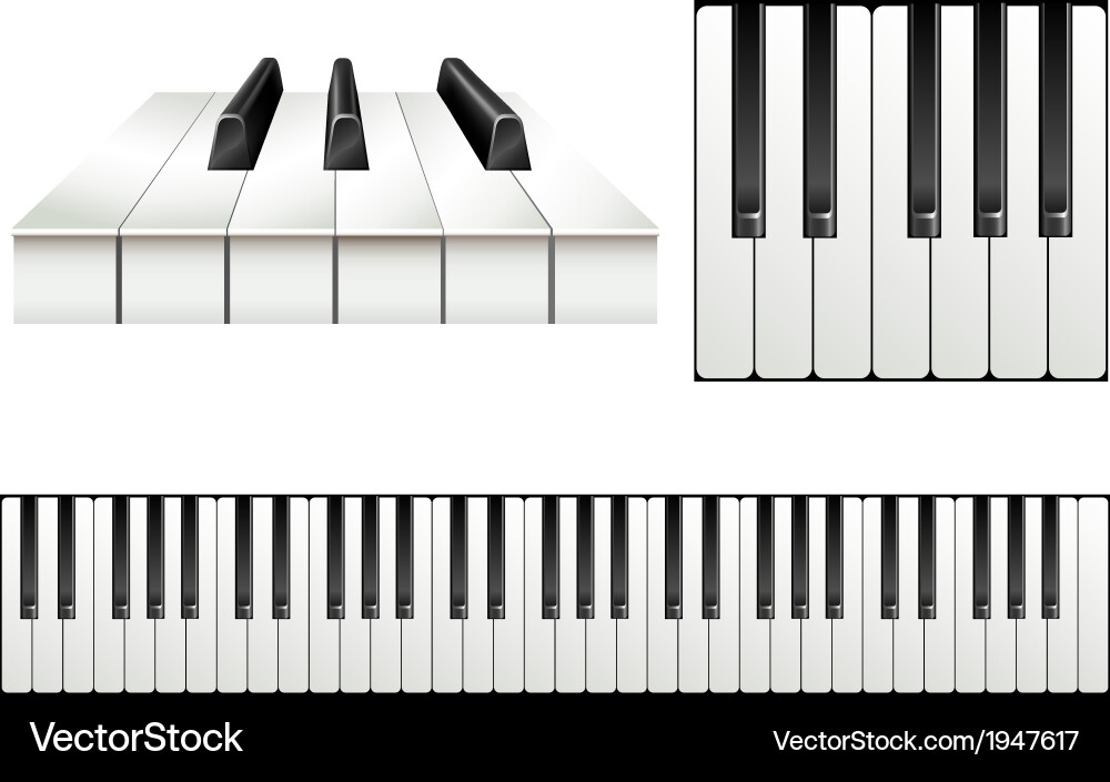 Piano key set Royalty Free Vector Image - VectorStock