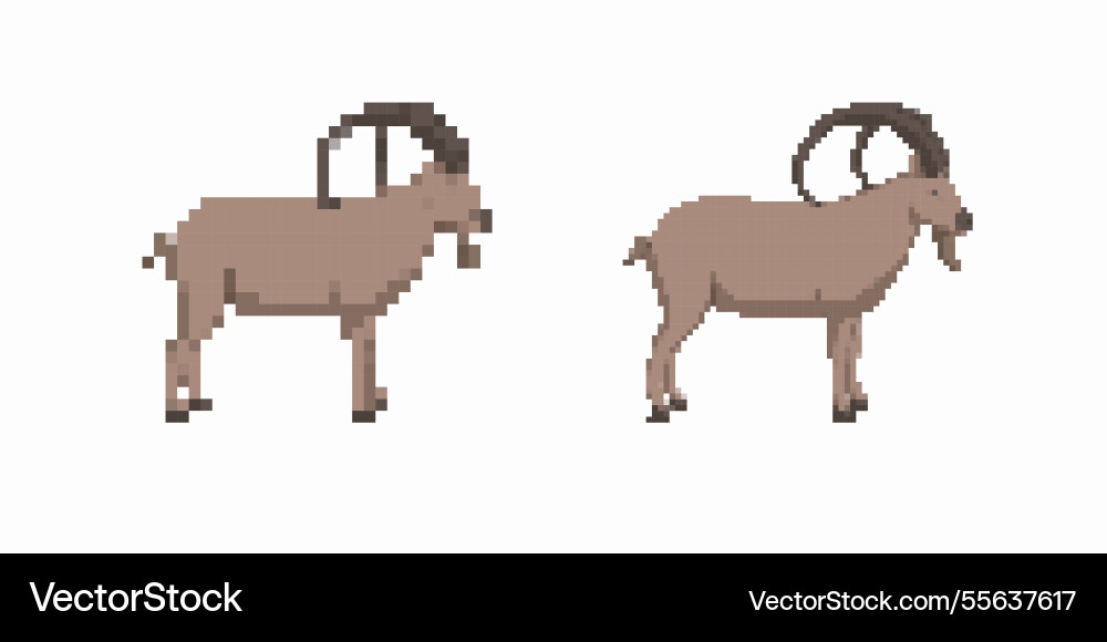 Pixel art ibex with curved horns in side view Vector Image