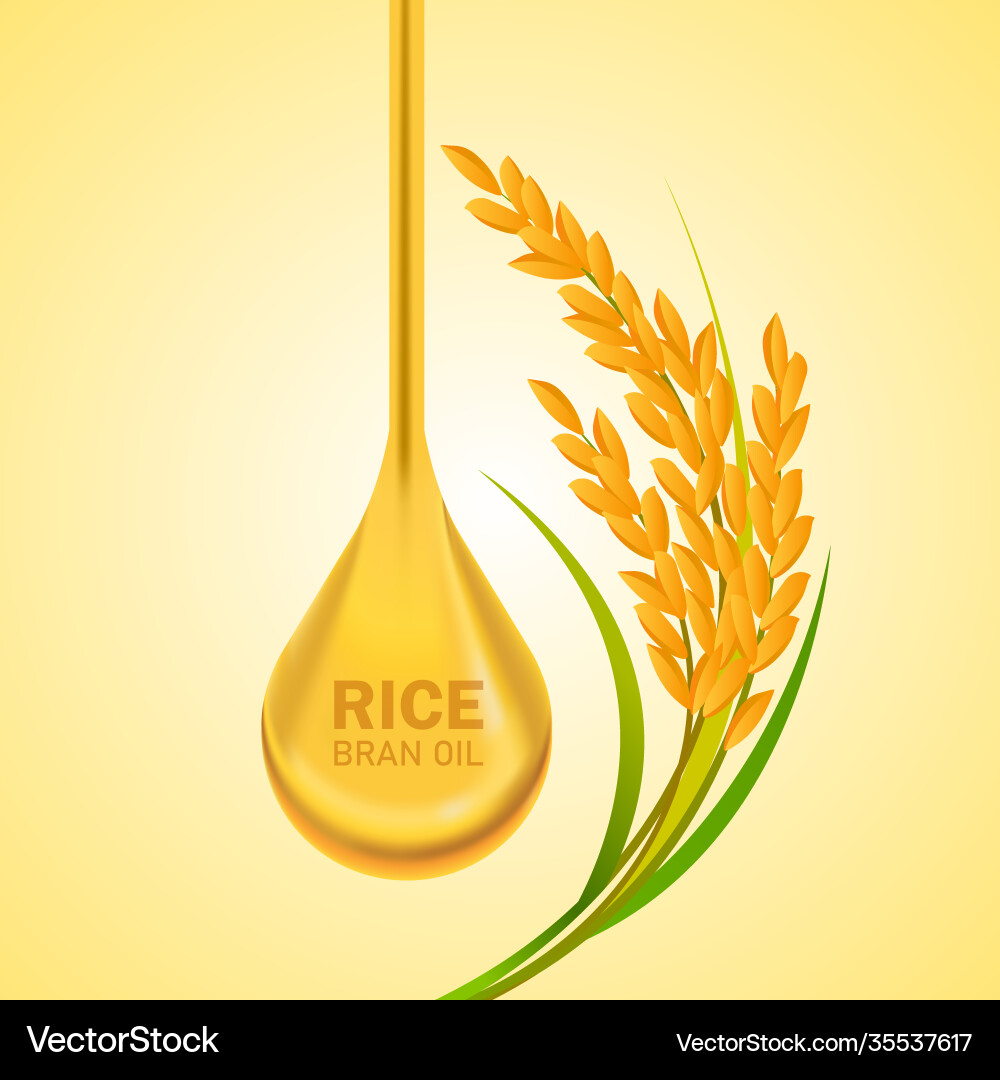 Rice Bran Oil Organic Vector Images (over 100)