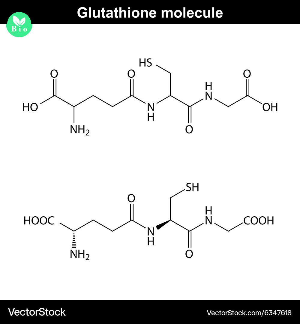 Glutathione chemical structure Royalty Free Vector Image