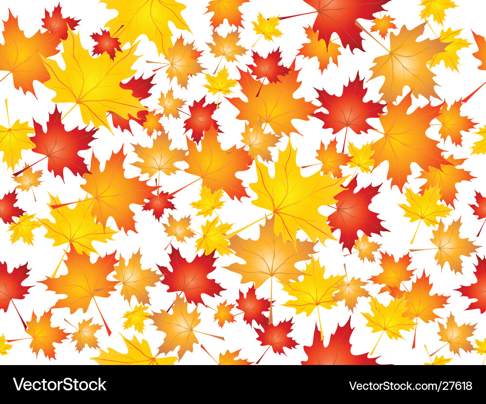 Maple leaves Royalty Free Vector Image - VectorStock