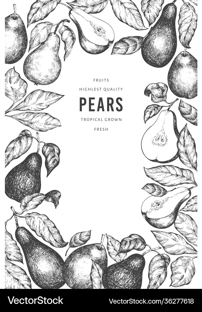 Pear design template hand drawn garden fruit Vector Image