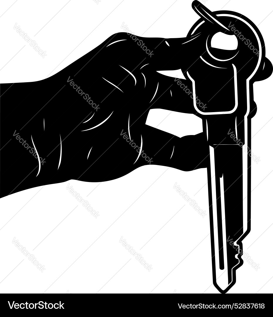 Unlocking opportunity handheld icon key grip Vector Image