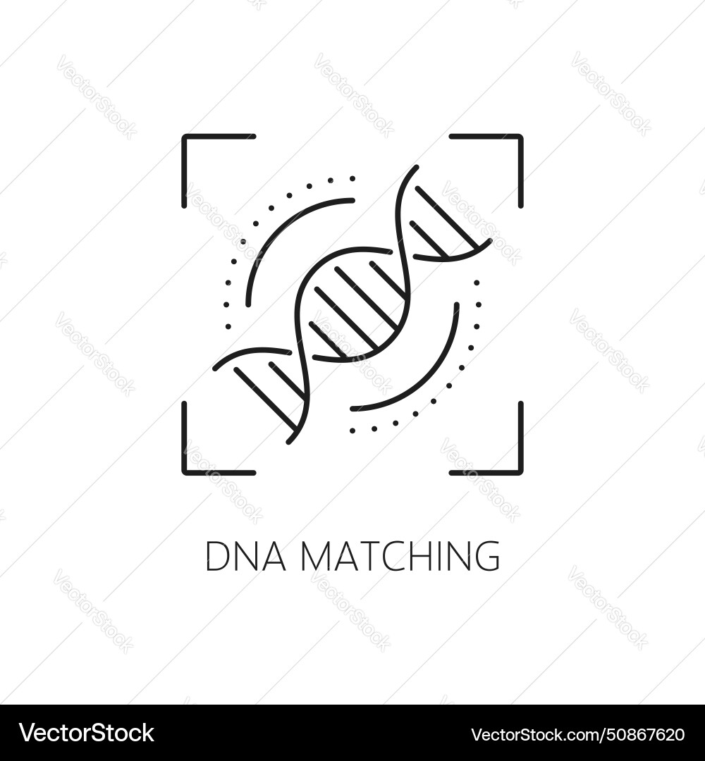 Dna matching biometric identification line icon Vector Image