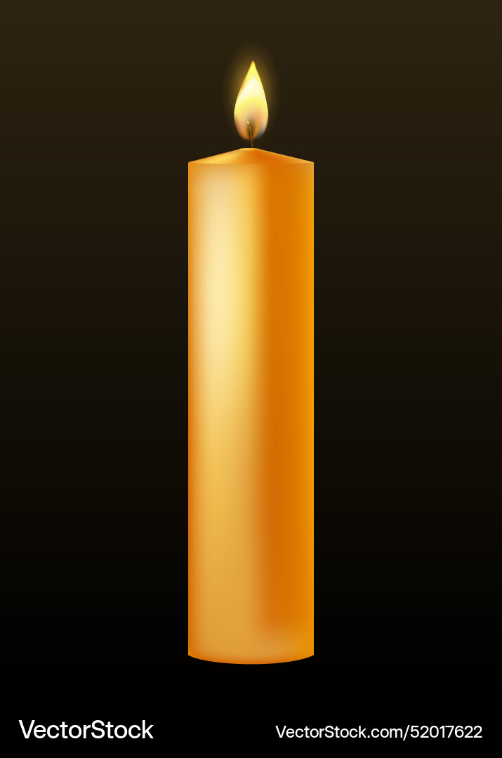 Golden Wax Candle Flame Royalty Free Vector Image