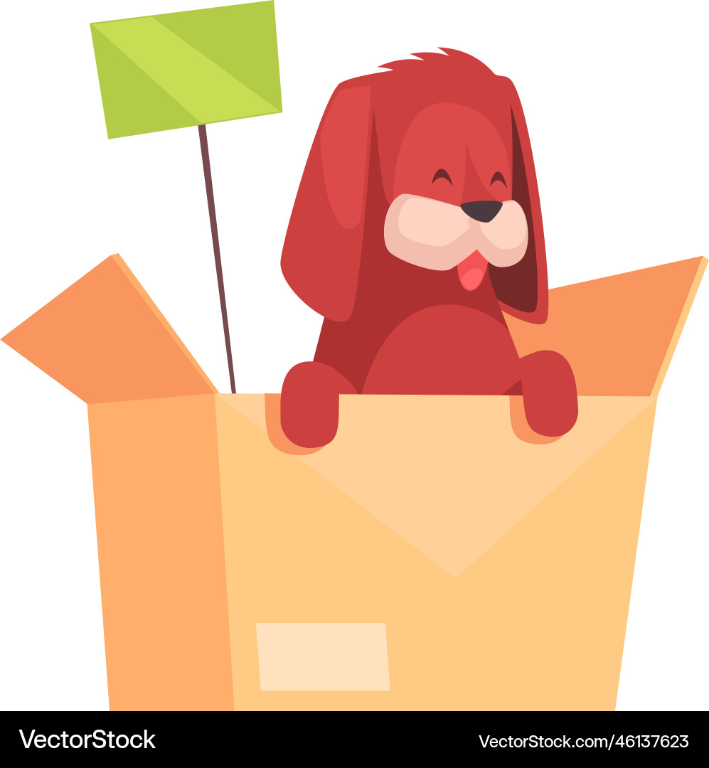 Dog in box composition Royalty Free Vector Image