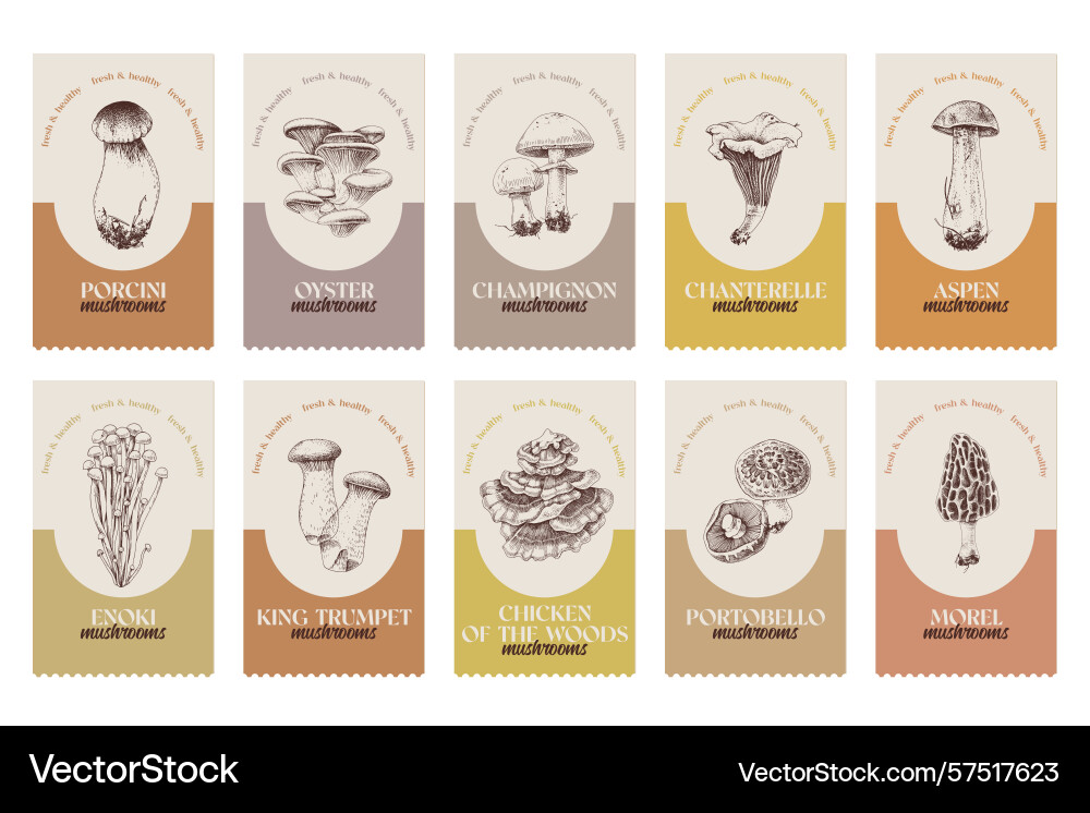 Mushroom labels with hand drawn Royalty Free Vector Image