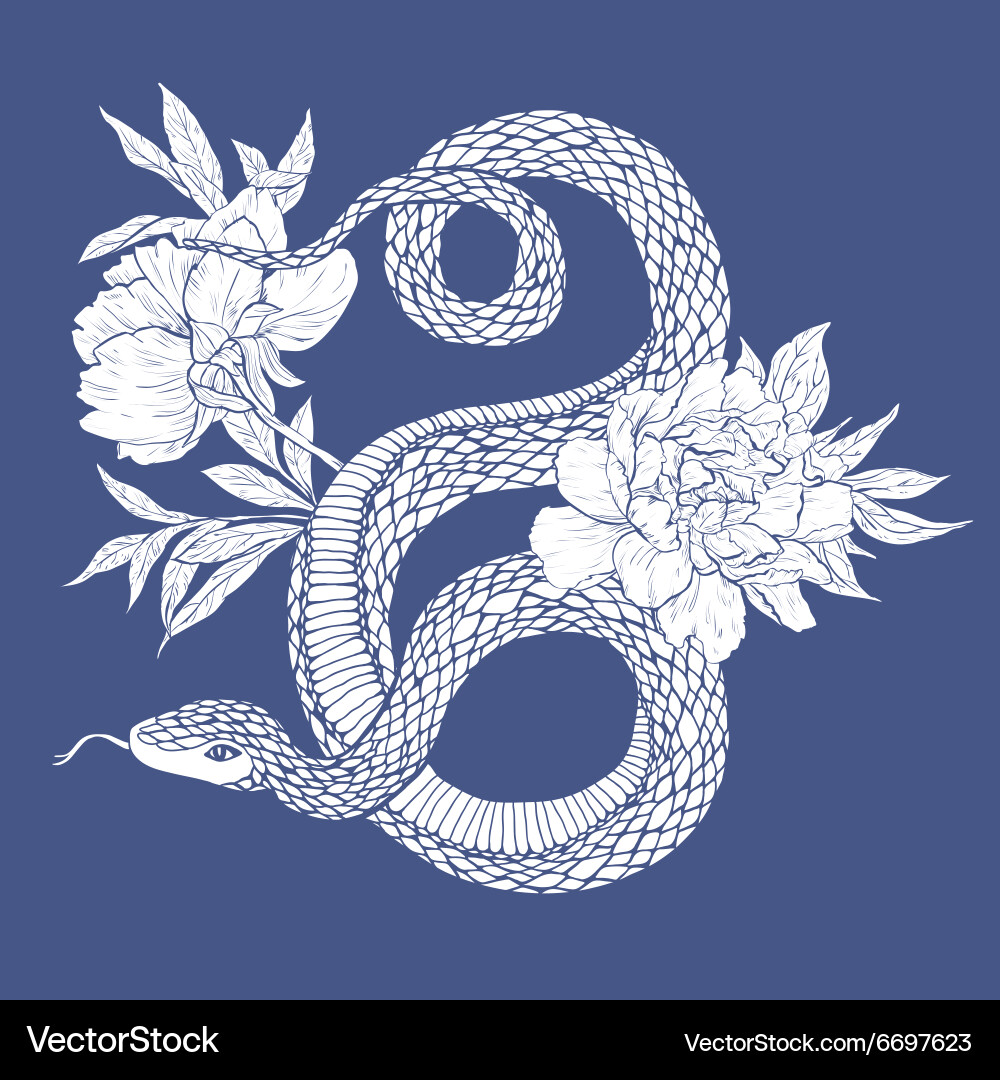 Snake and flowers Royalty Free Vector Image - VectorStock
