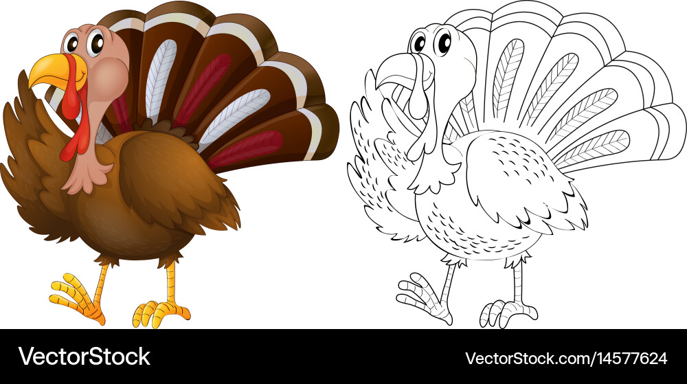 Animal outline for wild turkey Royalty Free Vector Image
