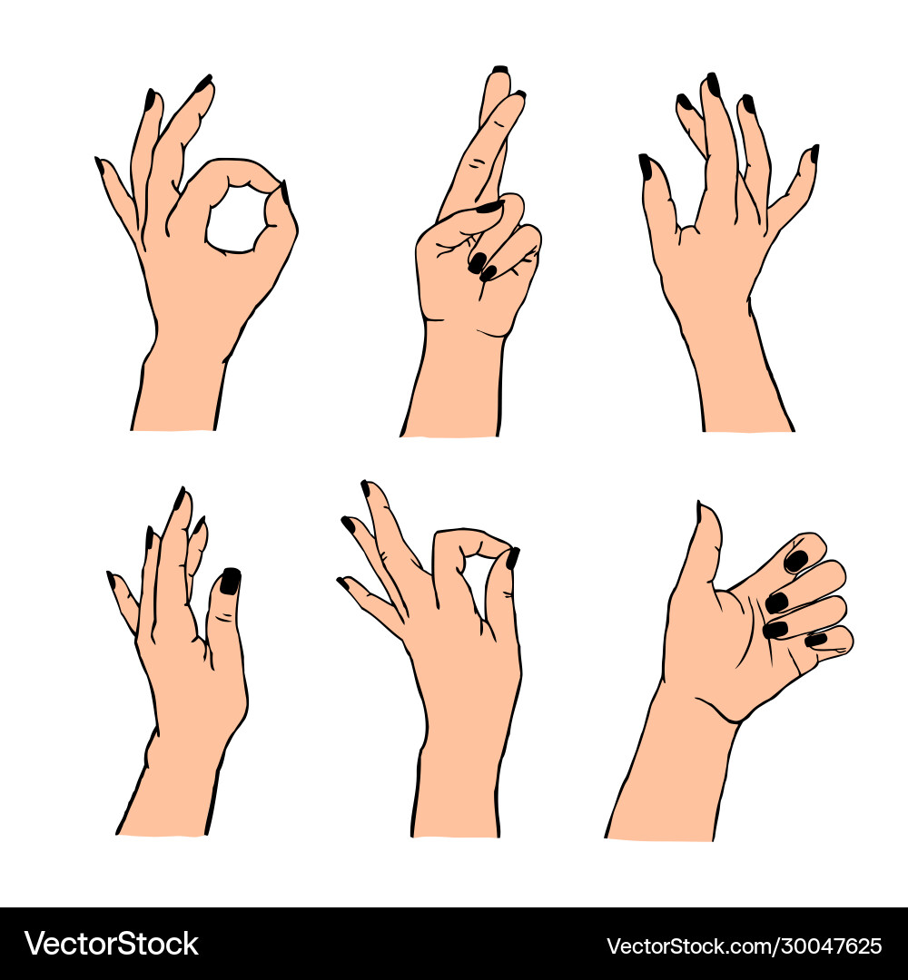 Diverse Hand Gestures Collection Royalty Free Vector Image
