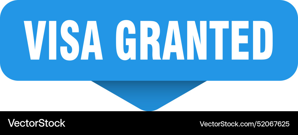 Visa granted sticker sign Royalty Free Vector Image