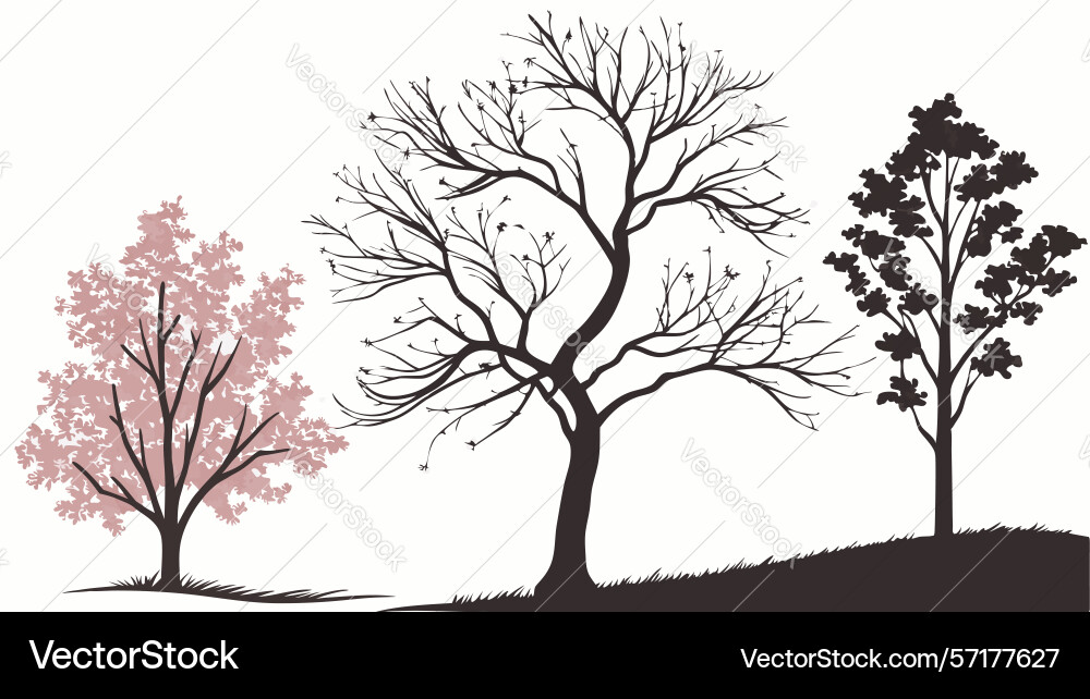 Silhouette trees in different seasons changing Vector Image