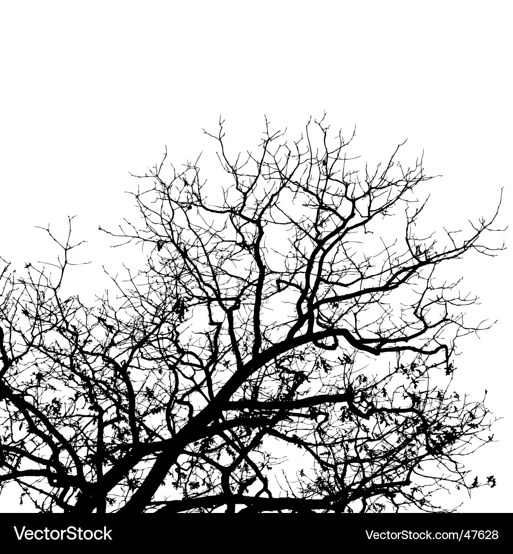 Tree Royalty Free Vector Image - VectorStock