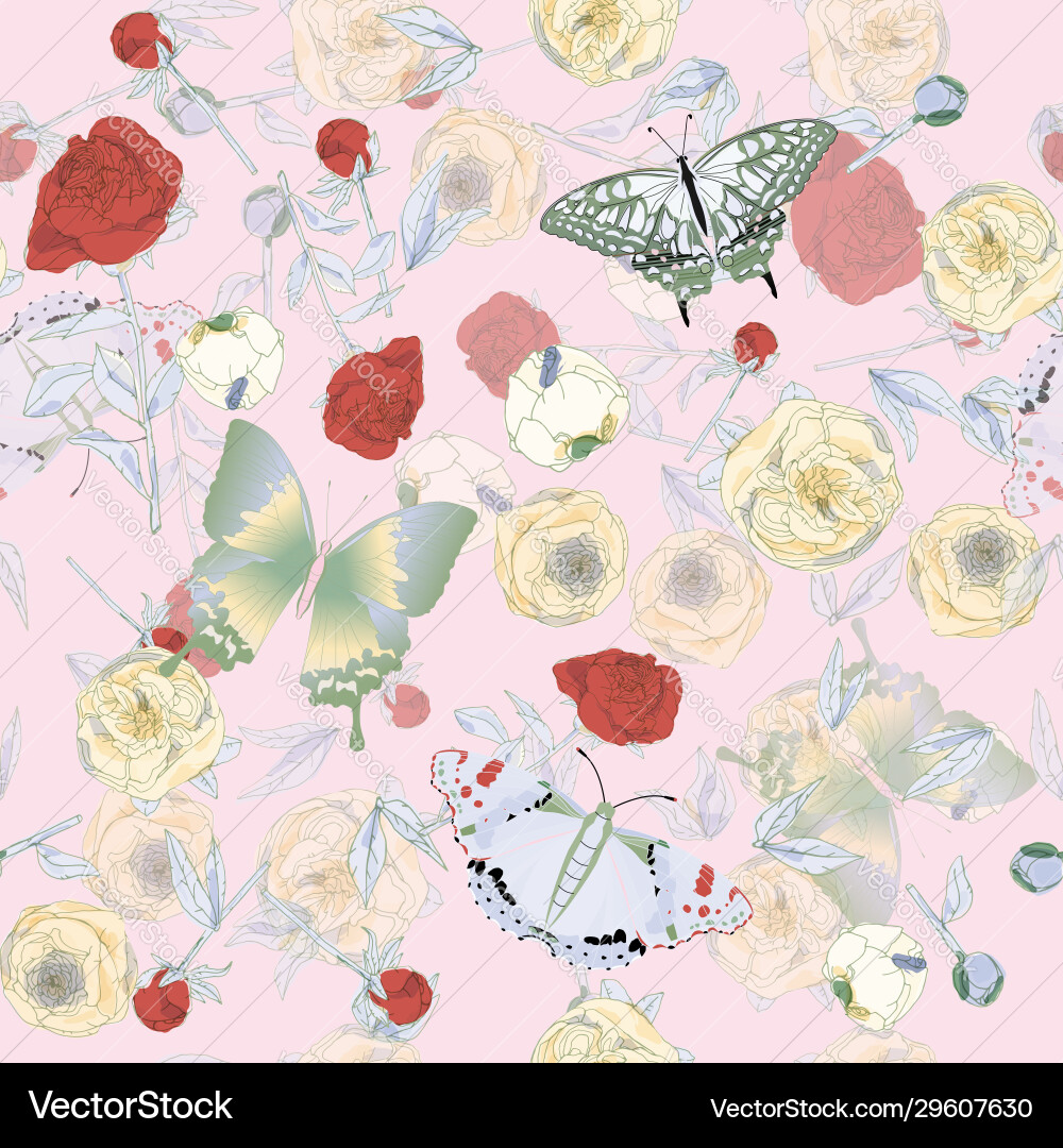 Butterfly and leaves stems inflorescences Vector Image