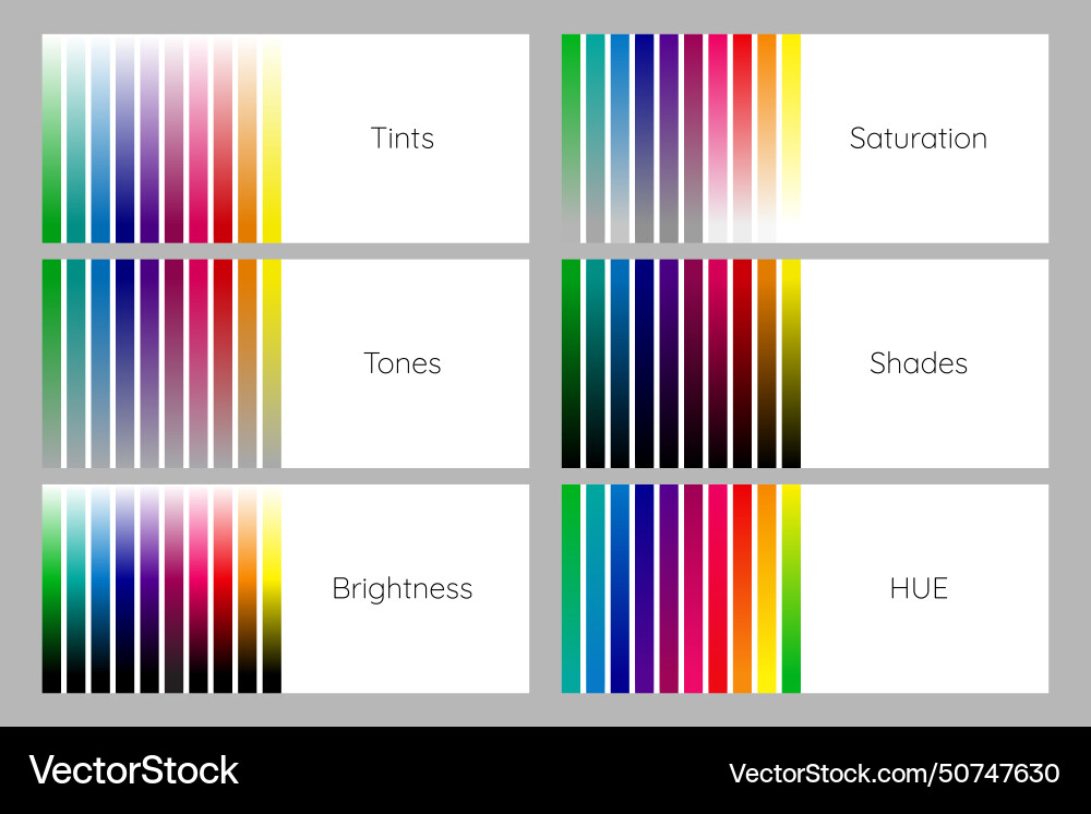 Color theory chart with tints saturation tones Vector Image